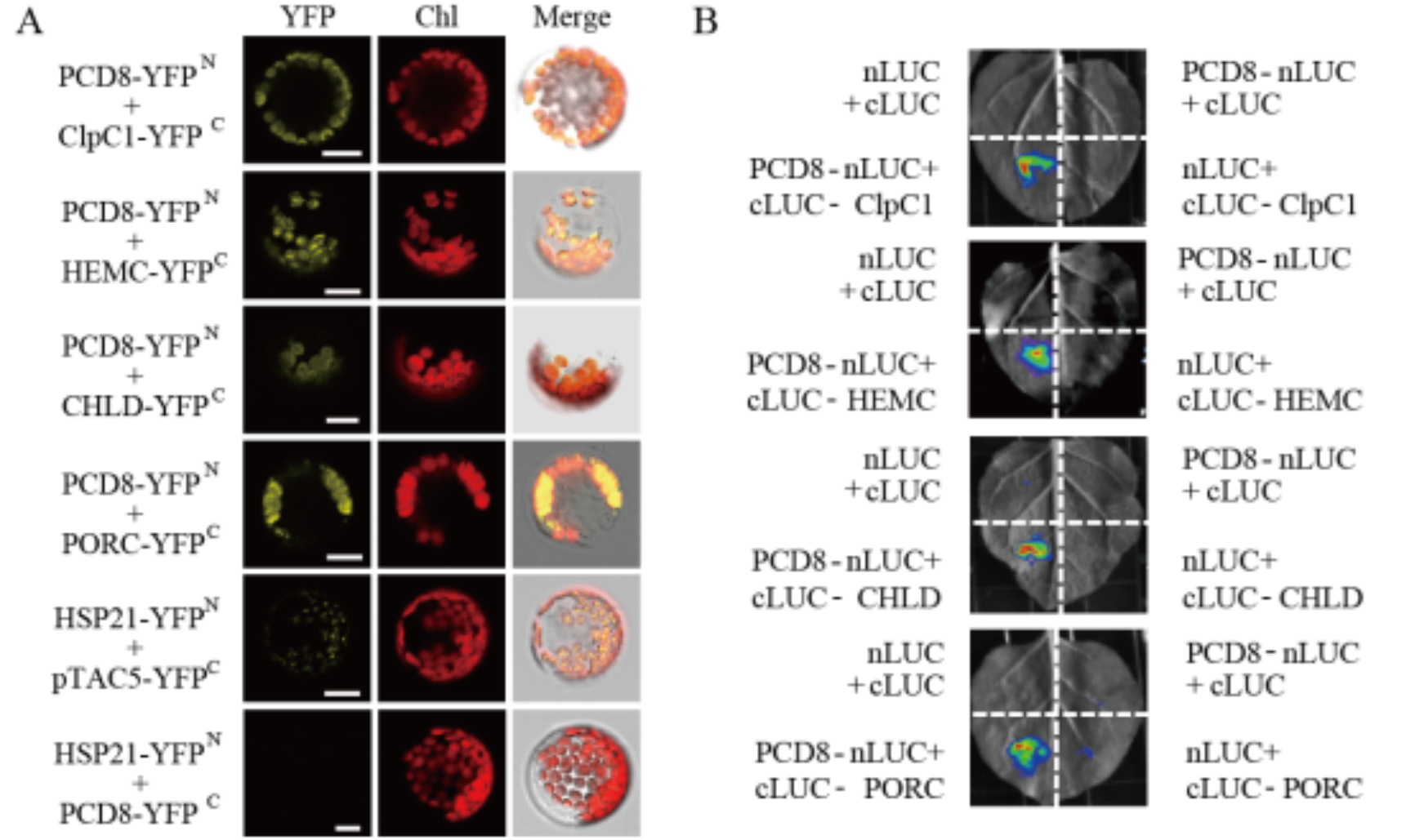 国家节水灌溉杨凌工程技术研究中心